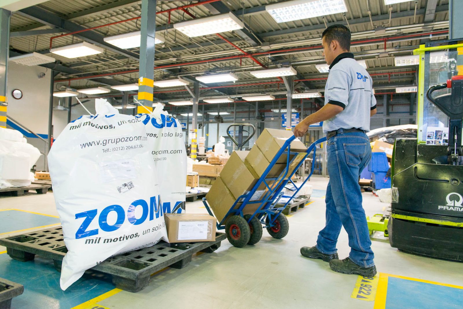 ZOOM Logistics: Preparación, almacenamiento y custodia de inventarios ...
